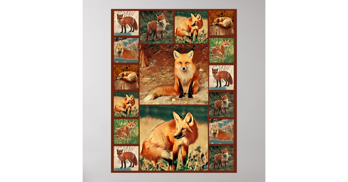 Red Fox Collage Poster | Zazzle