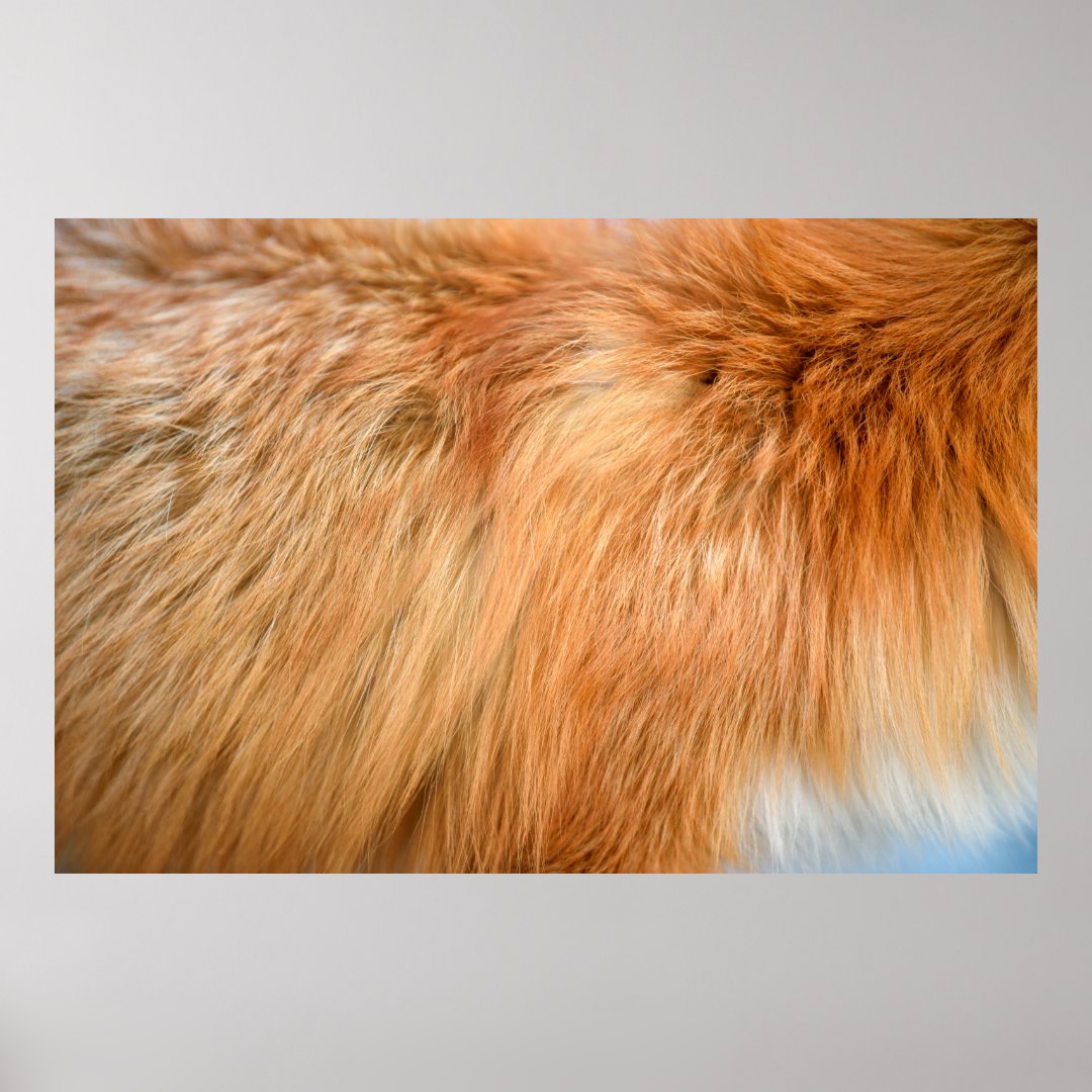 Red fox fur texture poster | Zazzle