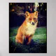 Red Fox in a Forest Poster | Zazzle