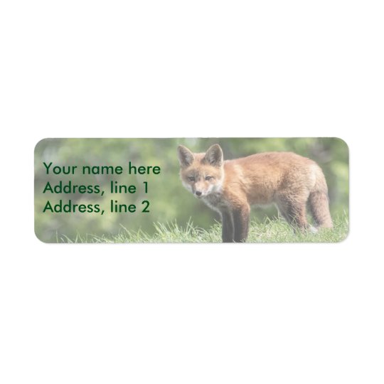 Red Fox Kit Label | Zazzle.com