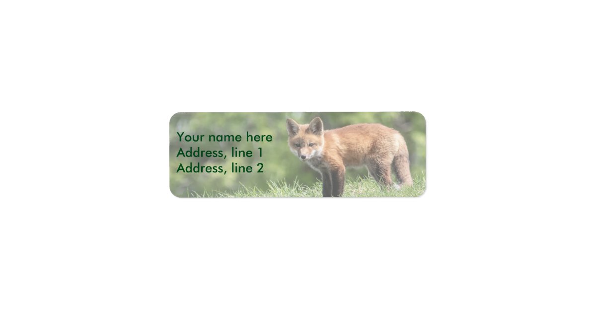Red Fox Kit Label | Zazzle