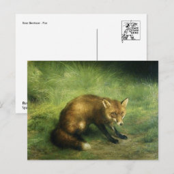 Red Fox Postcard | Zazzle