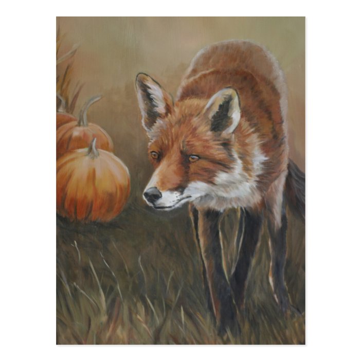 Red Fox with Pumpkins Art Postcard | Zazzle.com