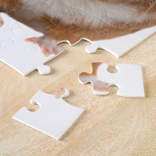 red guinea pig jigsaw puzzle | Zazzle