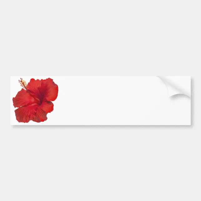 Red Hibiscus on White - Customized Template Bumper Sticker | Zazzle