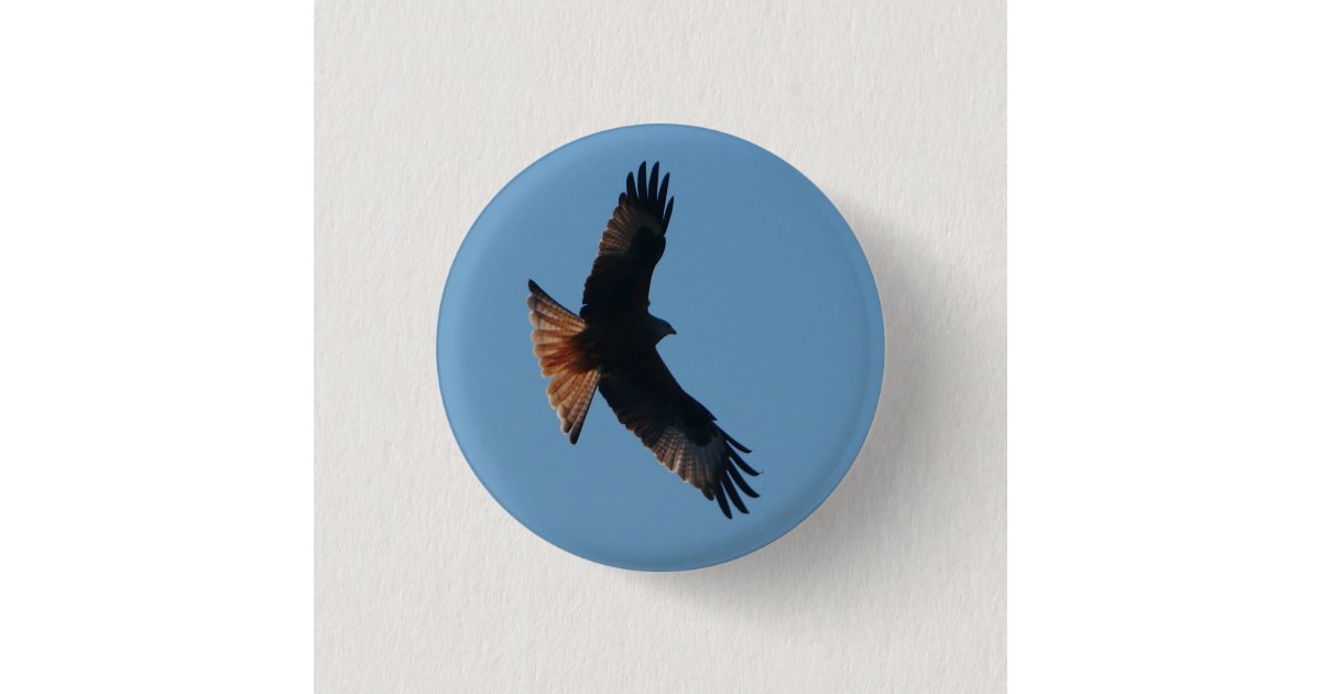 Red Kite Badge Button | Zazzle