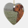 Red Lab Christmas Ornament | Zazzle