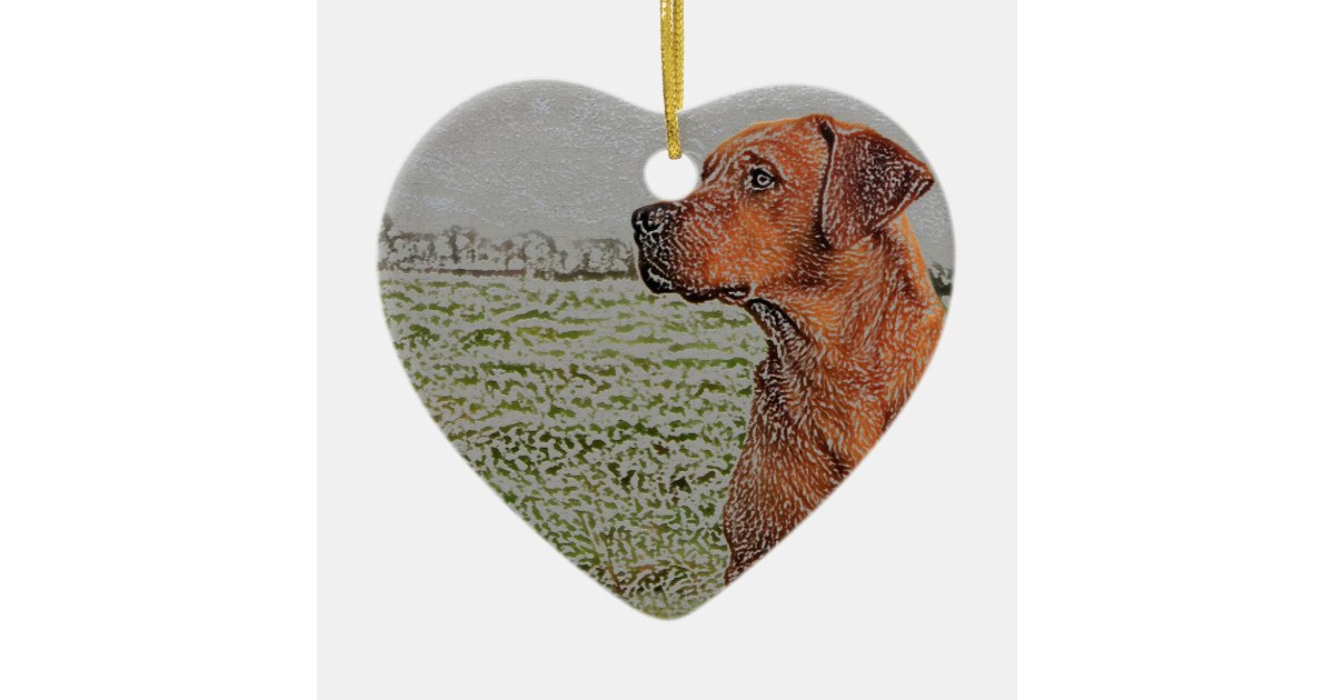 Red Lab Christmas Ornament | Zazzle