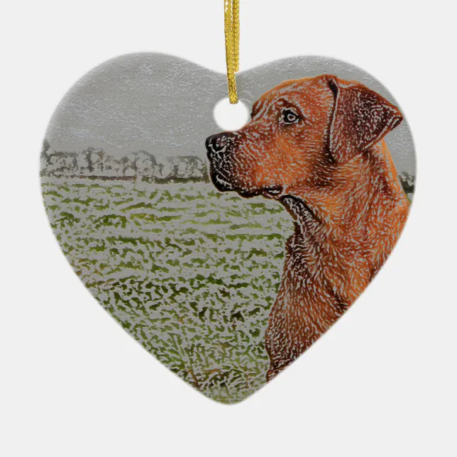 Red Lab Christmas Ornament | Zazzle
