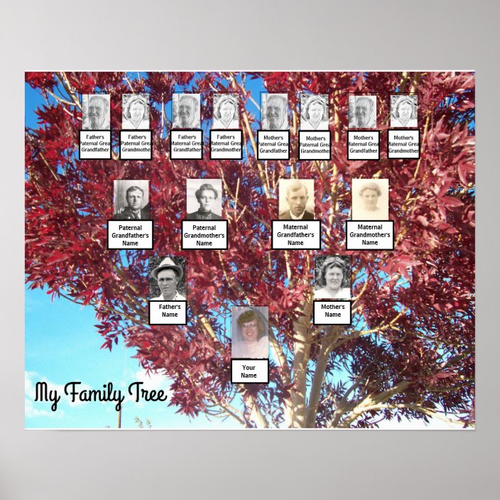 Red Leaf Photo Family Tree with Photos Poster | Zazzle.com