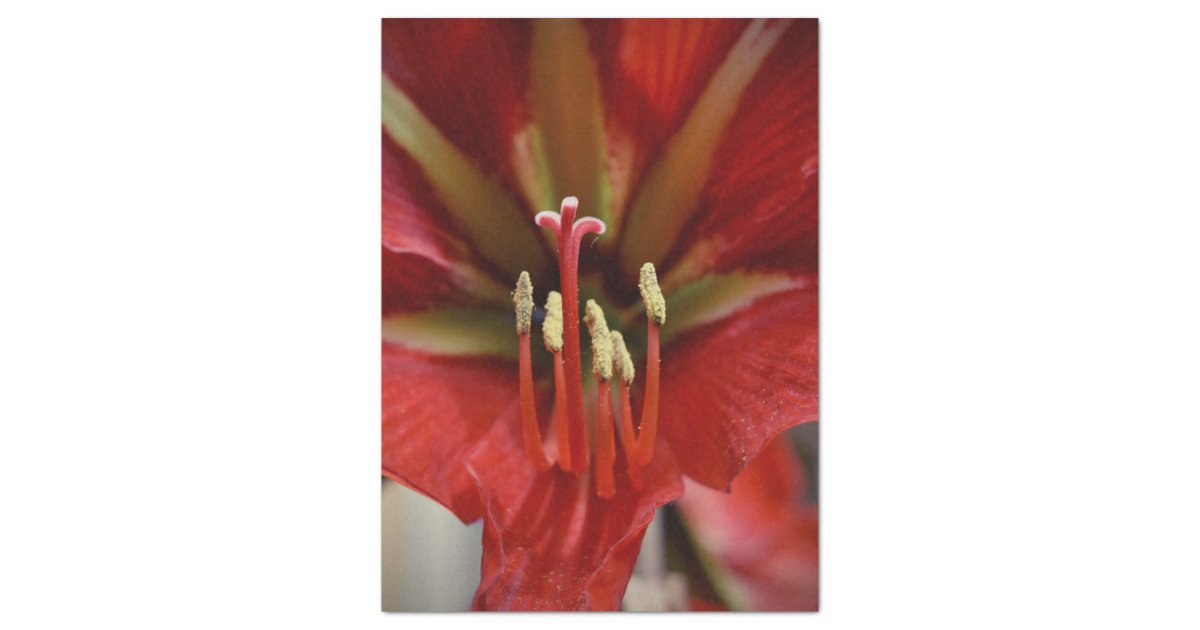 Red Lily Flower Decoupage Tissue Paper | Zazzle