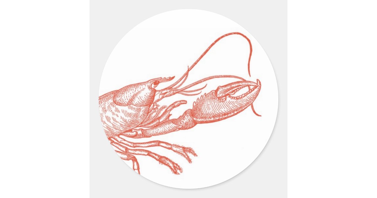 Red Lobster Sticker | Zazzle