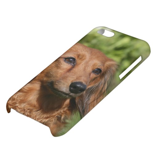 Red Long-haired Miniature Dachshund iPhone Case | Zazzle