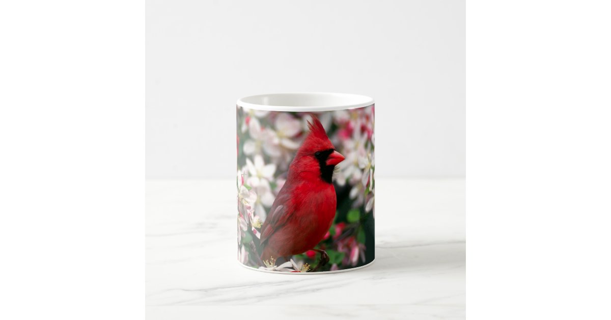 Red Male Cardinal Coffee Mug | Zazzle