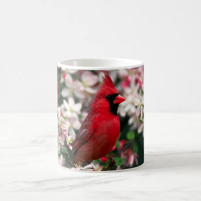 Red Male Cardinal Coffee Mug | Zazzle.com