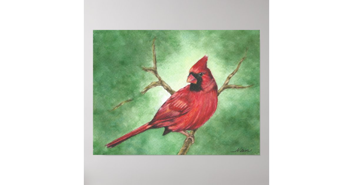 Red Male Cardinal Poster | Zazzle