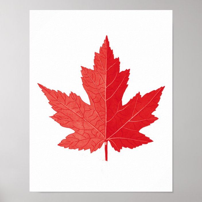 Red Maple leaf Canada Day art print no.11 | Zazzle.com