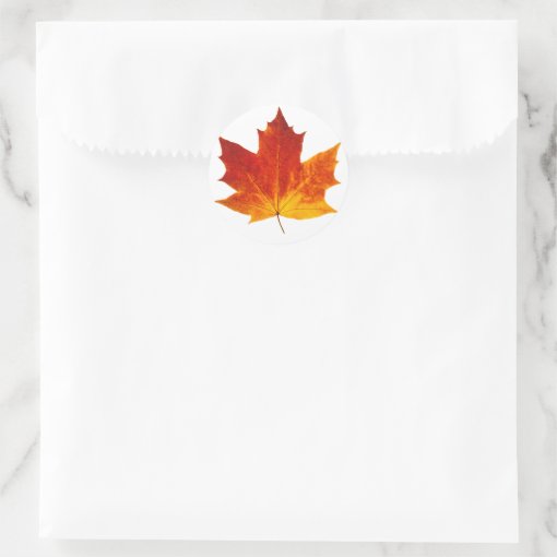 Red maple leaf classic round sticker | Zazzle