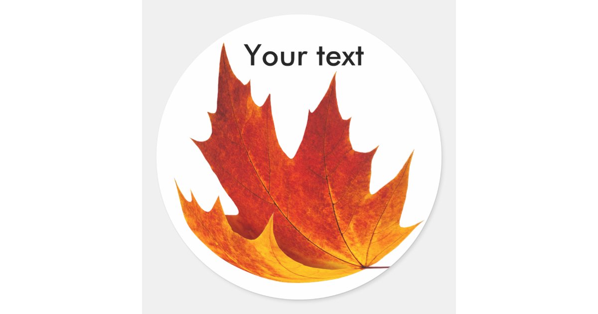 Red maple leaf classic round sticker | Zazzle