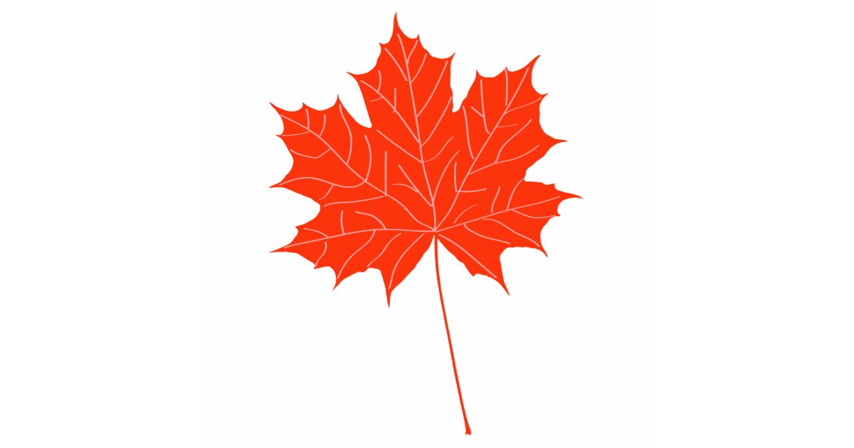 Red maple leaf cutout | Zazzle