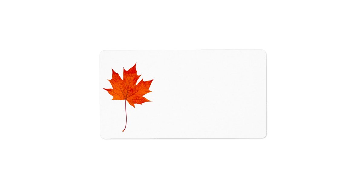Red maple leaf label | Zazzle