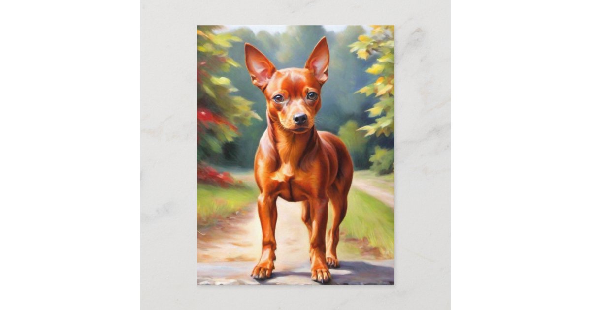 Red Miniature Pinscher Dog Art Postcard | Zazzle