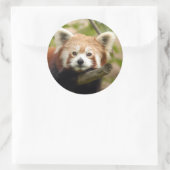 red-panda-007 classic round sticker | Zazzle