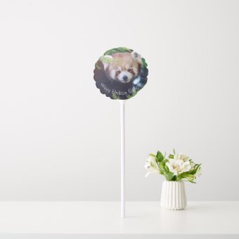 Red Panda Balloon | Zazzle