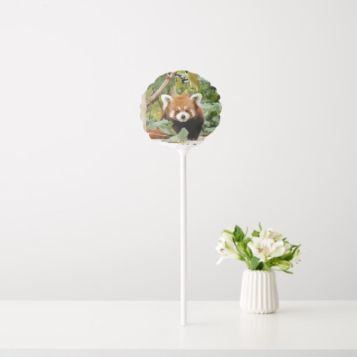 Red Panda Balloon | Zazzle