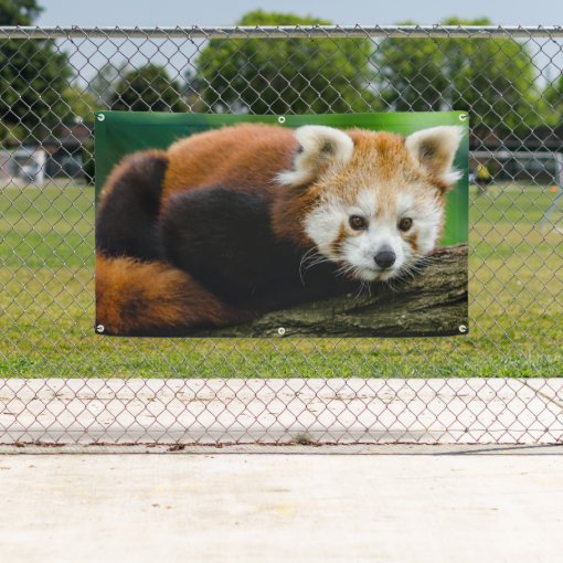 RED PANDA Banner WITH GROMMETS | Zazzle