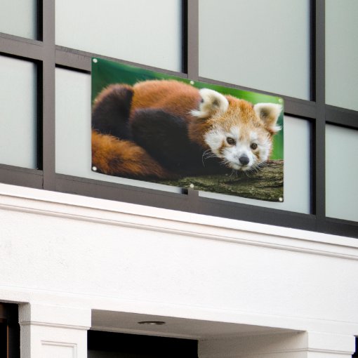 RED PANDA Banner WITH GROMMETS | Zazzle