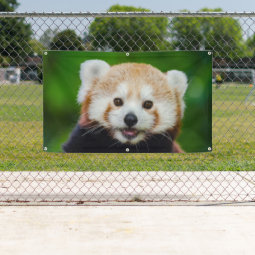 RED PANDA Banner WITH GROMMETS | Zazzle