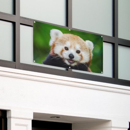 RED PANDA Banner WITH GROMMETS | Zazzle