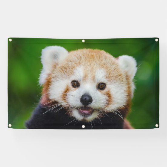 Panda Banners | Zazzle