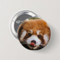 Red Panda Button | Zazzle