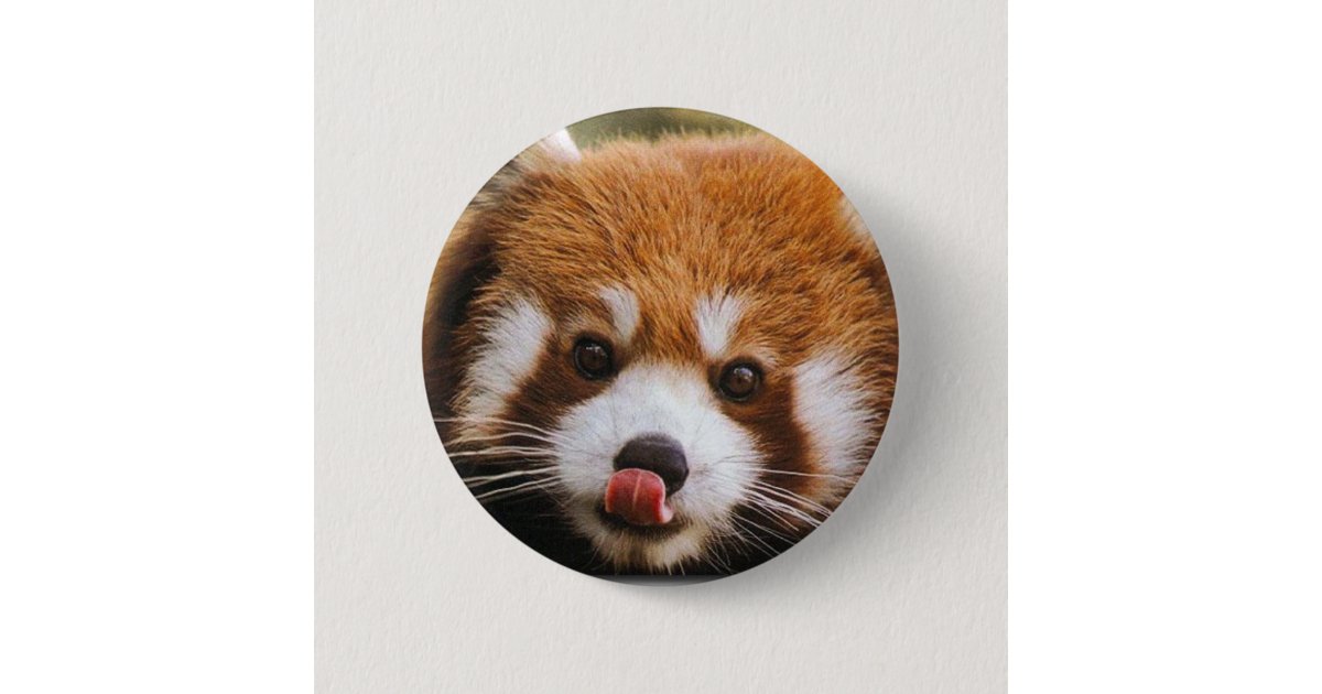 Red Panda Button | Zazzle
