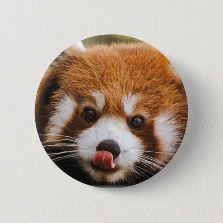 Red Panda Button | Zazzle