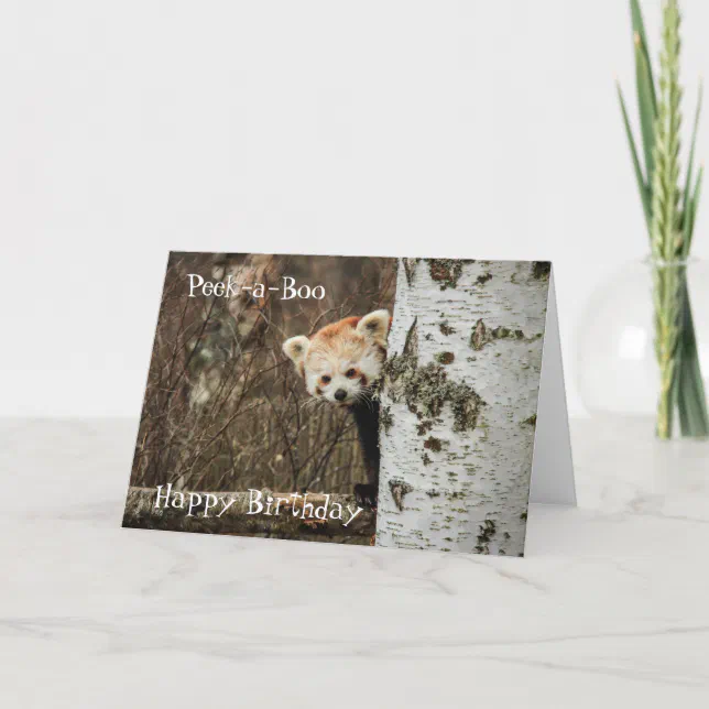 Red Panda Happy Birthday Card | Zazzle