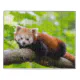 Red Panda Jigsaw Puzzle | Zazzle