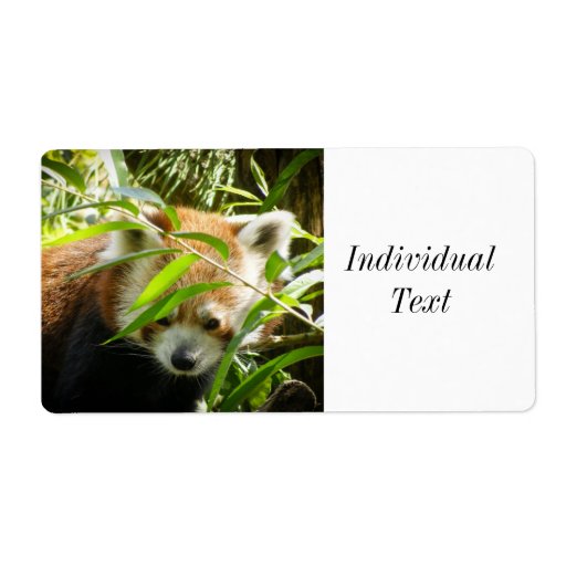 Red Panda Label | Zazzle