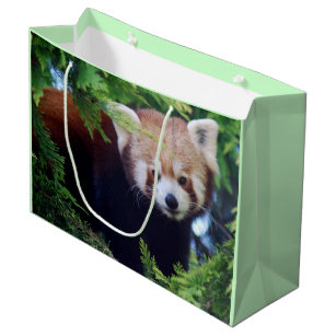 Red Panda Gifts on Zazzle