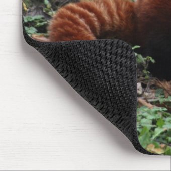 Red Panda Mouse Pad | Zazzle