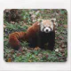 Red Panda Mouse Pad | Zazzle