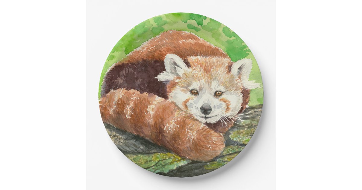 Red panda paper plates | Zazzle