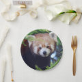 Red Panda Paper Plates | Zazzle