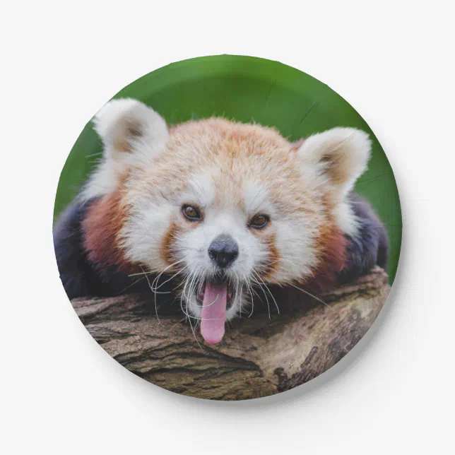Red Panda Paper Plates | Zazzle