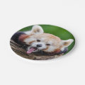 Red Panda Paper Plates | Zazzle