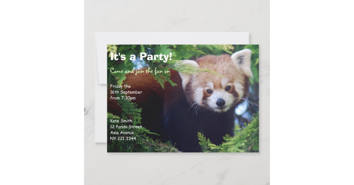 Red Panda Party Invitation | Zazzle