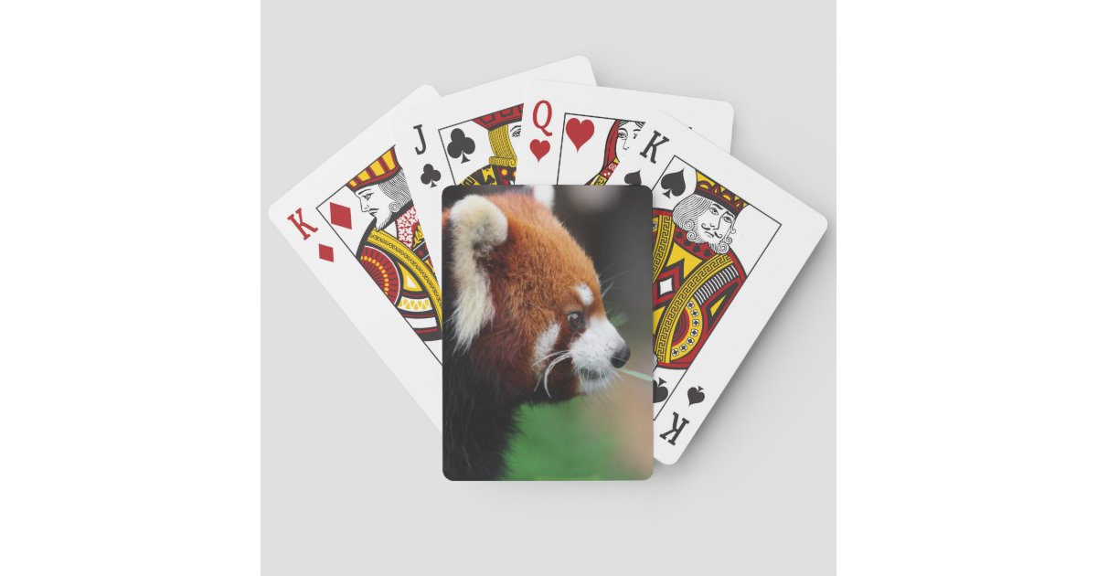 Red panda poker cards | Zazzle