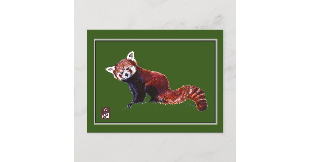 Red Panda Postcard | Zazzle